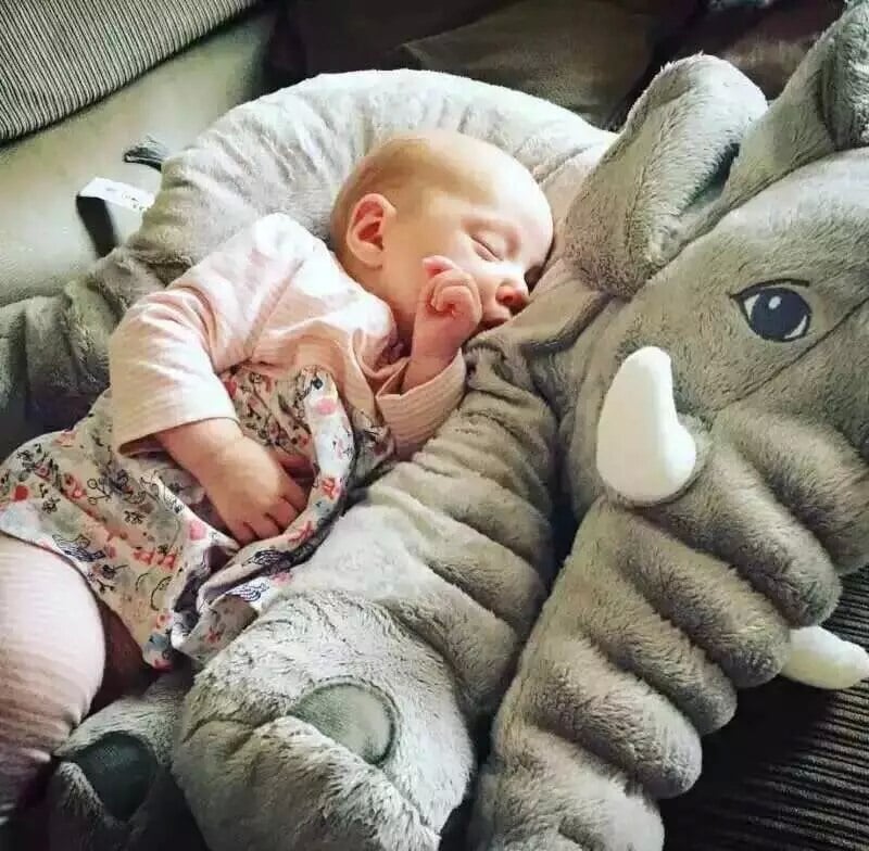 soft Elephant plush Baby Elephant Cuddle Stuffed Animals Plush Toy ...